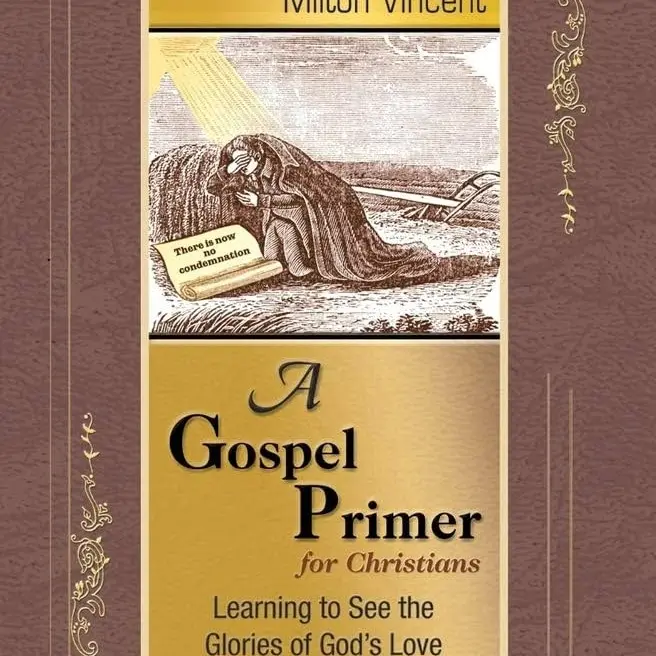 A Gospel Primer for Christians : Learning to See the Glories of God's ...