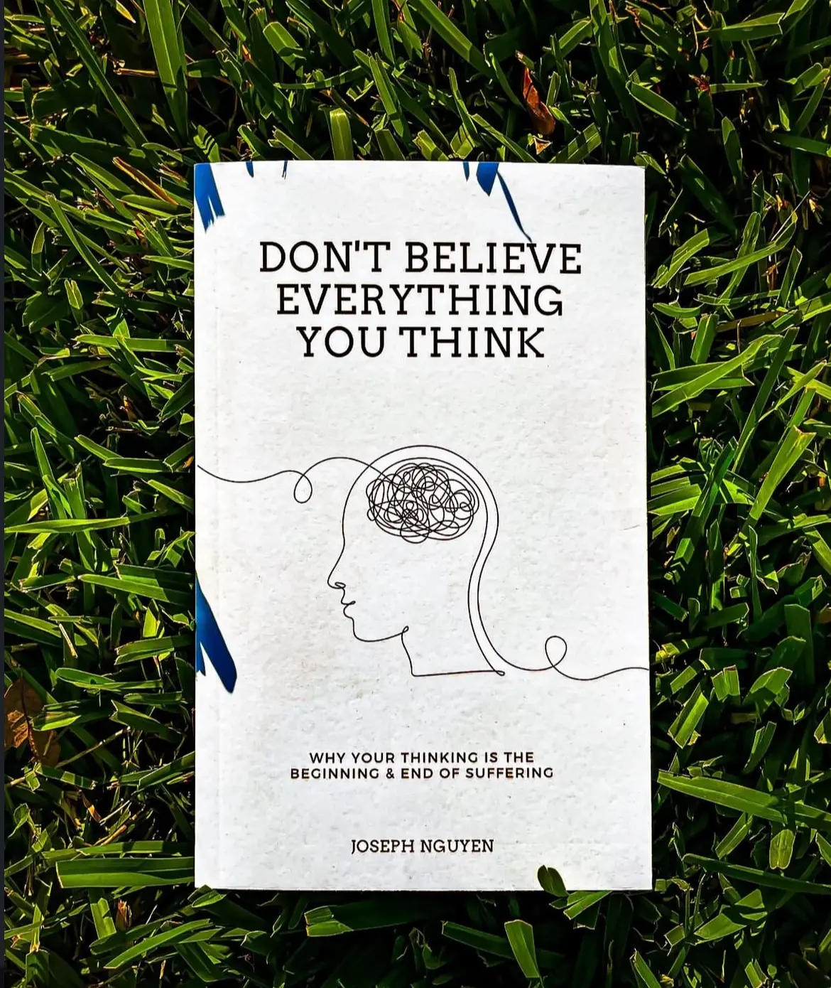 Don't Believe Everything You Think: Why Your Thinking Is The Beginning ...