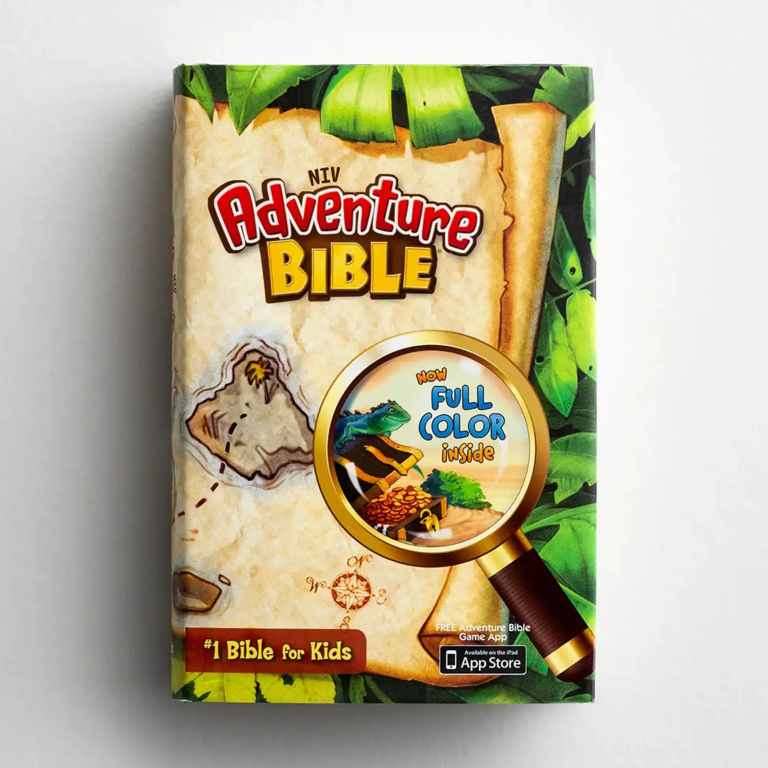 The Action Bible: Faith in Action Edition – Kids’ Illustrated Bible ...